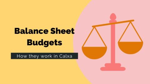 Making Sense of Balance Sheet Budgets - a handy guide