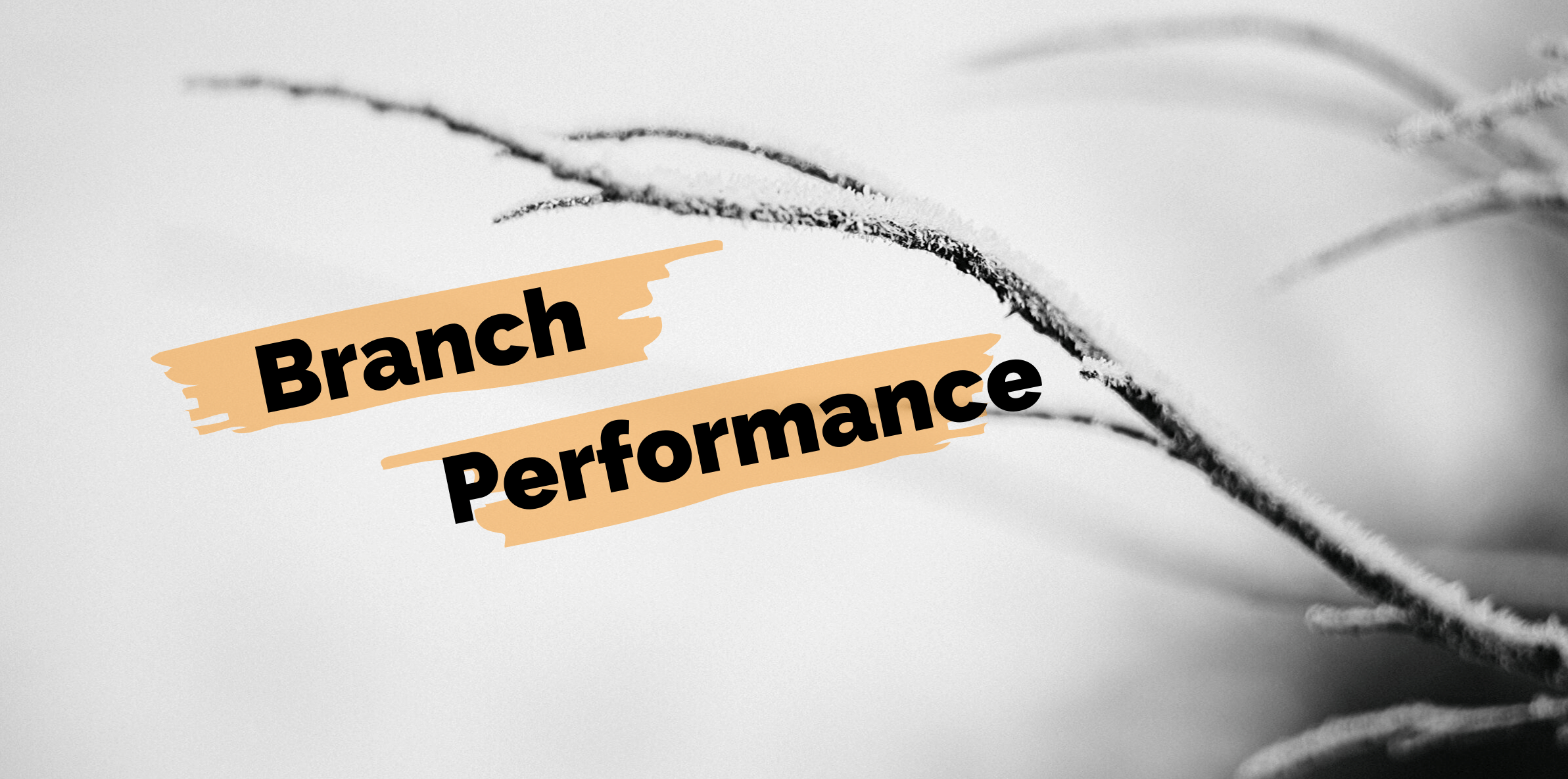 Preparing Top Branch Performance Reports - Calxa