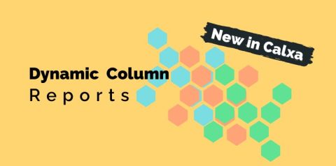 New in Calxa: Budget Scenarios - Calxa